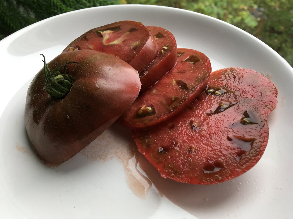 Mbërrin domatja vjollcë, me super cilësi për shëndetin - Alert.al